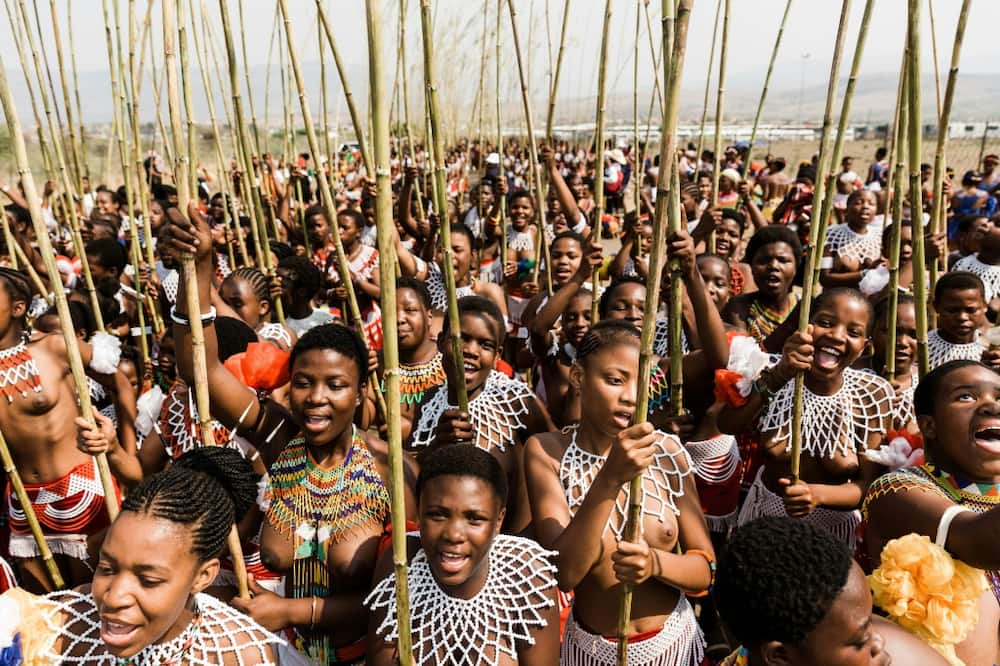 S Africas Zulus Fete Young Womens Purity Amid Royal Succession Spat